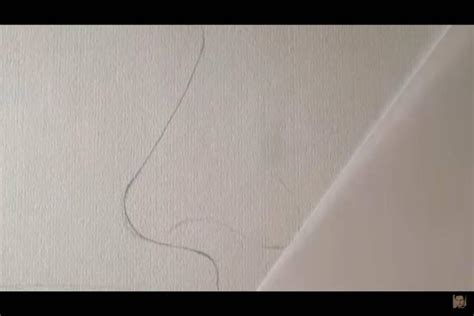 Cómo Aprender A Dibujar Una Nariz Paso A Paso Perfil Frente Y Más