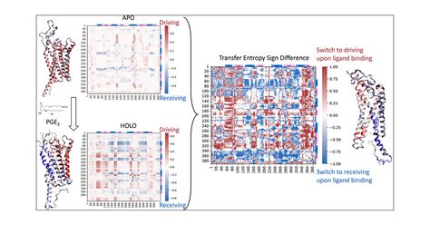 Computational Insights Into Prostaglandin E2 Ligand Binding And