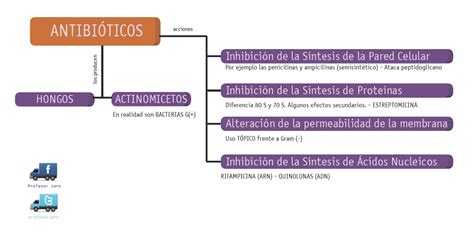 Mapa AcciÓn De AntibiÓticos Maps Cell Wall Side Effects University