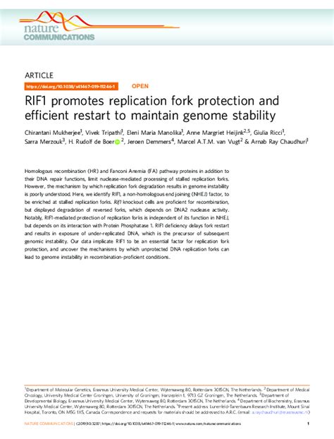 Pdf Rif1 Promotes Replication Fork Protection And Efficient Restart
