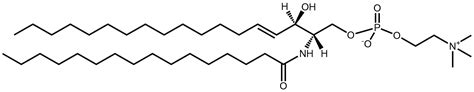 Lipid Maps