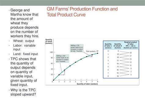 Ppt Production And Costs Production Function Powerpoint Presentation