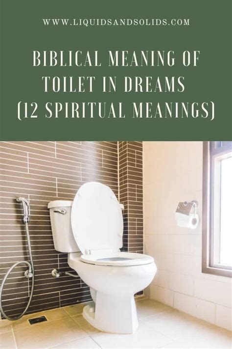 Biblical Meaning Of Toilet In Dreams 12 Spiritual Meanings