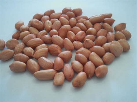 How To Count Objects In An Image Using K Means Matlab Stack Overflow