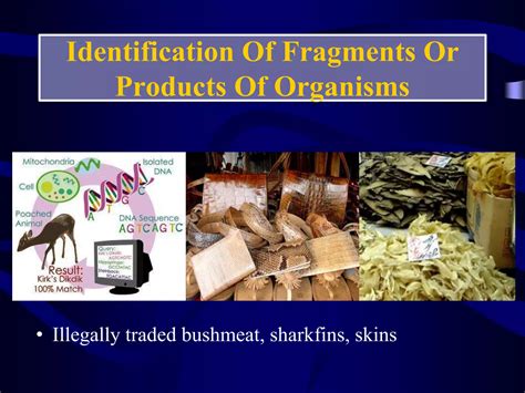 Dna Barcoding In Animals Pptx
