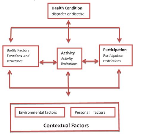 1 The Icf Cy Model Including Constructs Capturing Functioning And Download Scientific Diagram