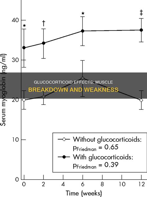 Glucocorticoid Effects Muscle Breakdown And Weakness Cyvigor