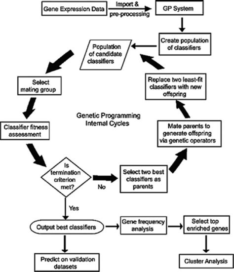 This Flow Chart Illustrates The Genetic Programming Gp Open I