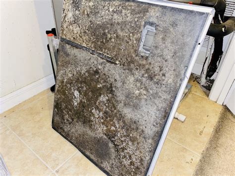 Lennox Air Handler Issues Home Inspectors In Ocoee Fl