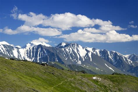 Beluha Bilder – Durchsuchen 694 Archivfotos, Vektorgrafiken und Videos ...