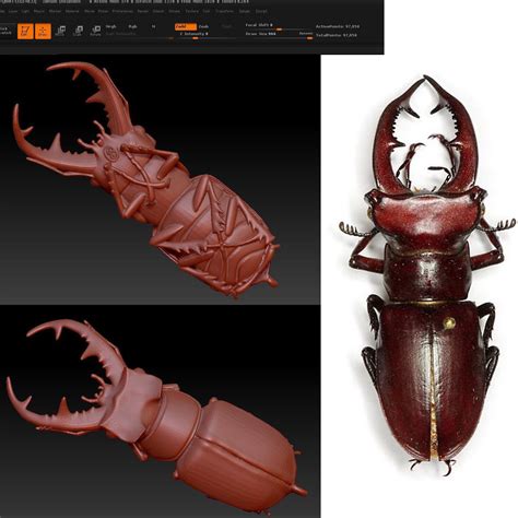 An Image Of A Bug That Is In The Process Of Being Rendered By 3d Printing