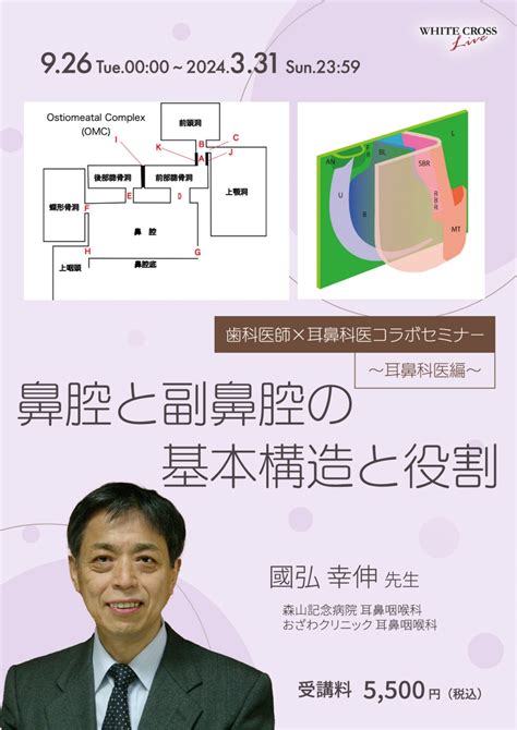 VOD 鼻腔と副鼻腔の基本構造と役割 WHITE CROSS