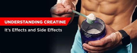 Understanding Creatine Its Effects And Side Effects