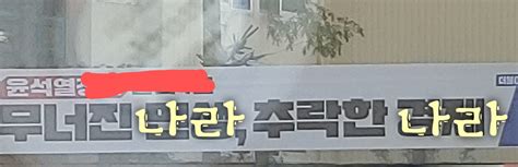 달빛 아래 핀 꽃 김기호 On Twitter 패러디지만 굥의 성격을 제대로 표현했다 고무호스로 덜 맞은 것같다