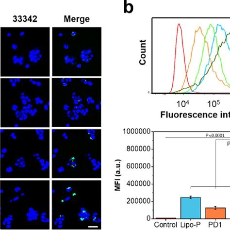 Cell Uptake Of Diverse Plasmid Delivery Systems In Tumorous Mcf 7 Cells