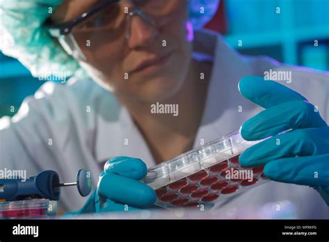 Cloning Genetics Hi Res Stock Photography And Images Alamy