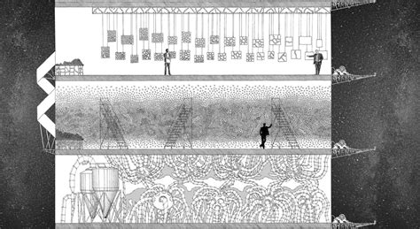 Archidose — Fabriciomora Drawings By Oliver Pershav