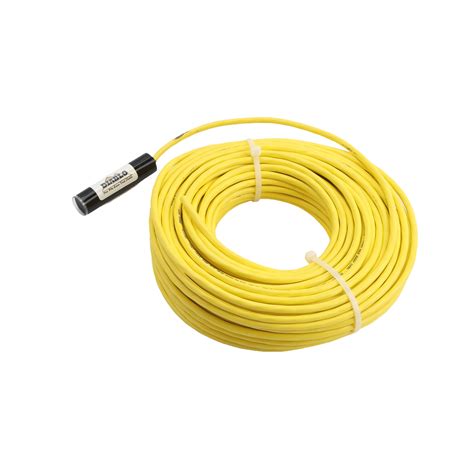 Diablo Magnetometer Vehicle Detector With Prescence Probe And 100 Ft Lead In Dsp 14 100