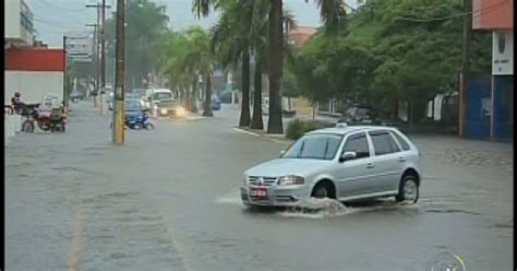 G1 Chuva Provoca Queda De árvores E Ruas Ficam Alagadas Em Tatuí Sp