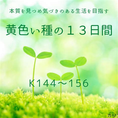 今日から黄色い種の13日間が始まります！ マヤ暦＆アロマ リラクゼーションサロン Alqumista アルケミスト