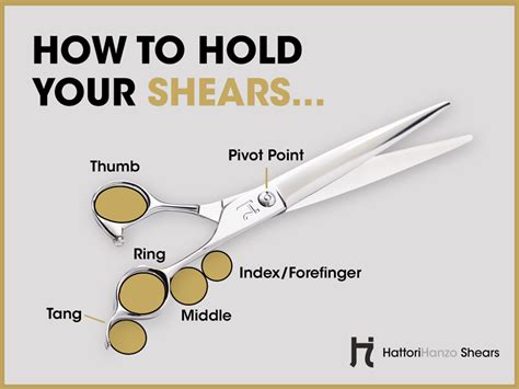 How To Hold Haircutting Scissors A Professional Guide