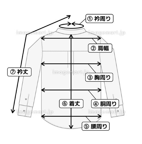 ワイシャツ長袖シャツ 寸法表サイズ表用イメージイラスト 141244844 イメージマート