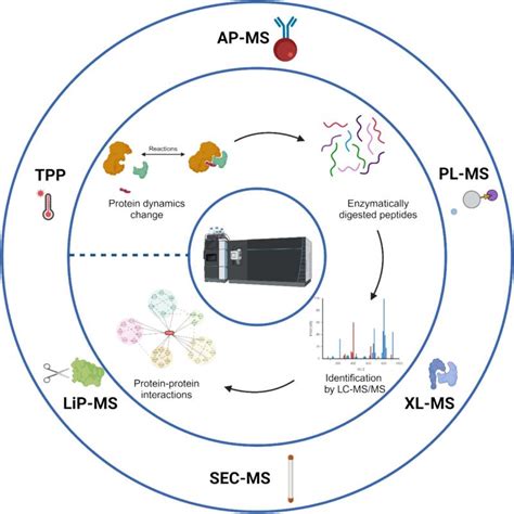 Doeun Kim On Linkedin Progress In Mass Spectrometry Approaches To Profiling Protein Protein…