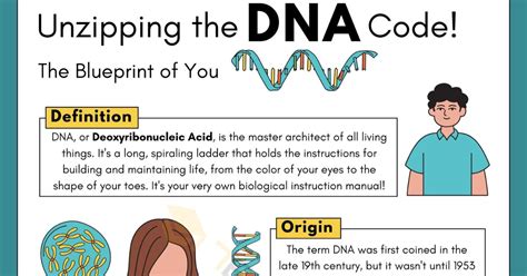 Dna Meaning What Does Dna Stand For • 7esl