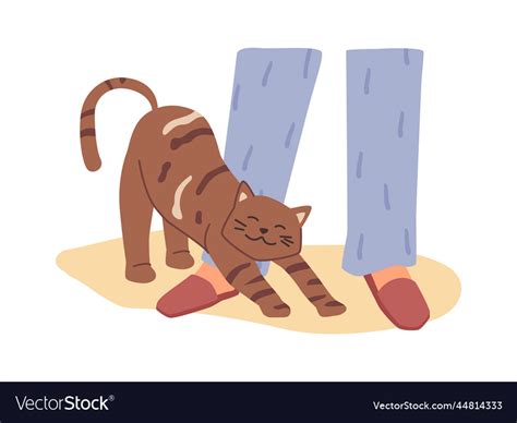 Cat Broken Leg Clipart