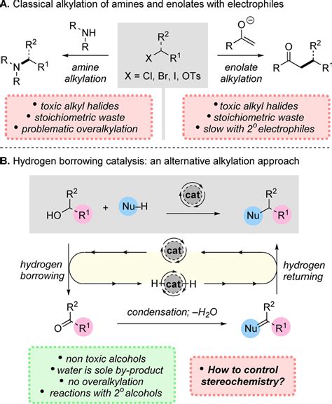 Contrasting Classical Alkylation Of Amines And Enolates With