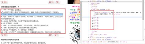 Xpath的string用法 风，又奈何 博客园