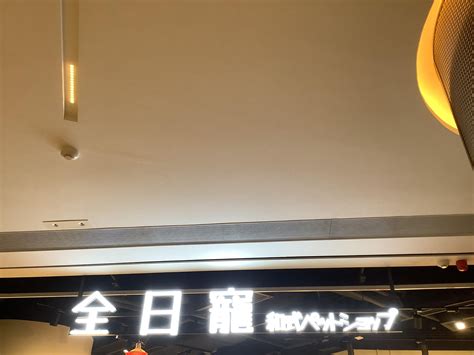 香港寵物店資訊網