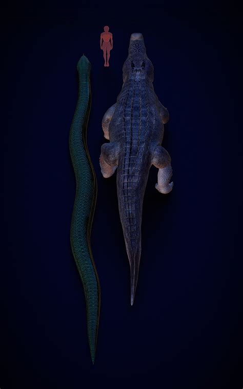 Titanoboa Vs Deinosuchus