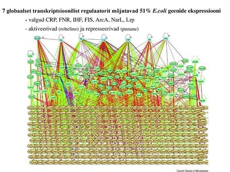 Globaalne Geeniregulatsioon Bakterirakus Ppt Download
