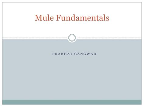 mule fundamentals ppt