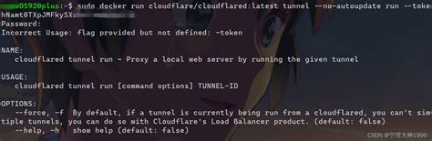 Docker运行cloudflare报错：incorrect Usage Flag Provided But Not Defined Tokenincorrect Usage