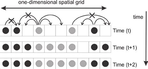 A Simplifi Ed Schematic Representation To Visualise Dispersal