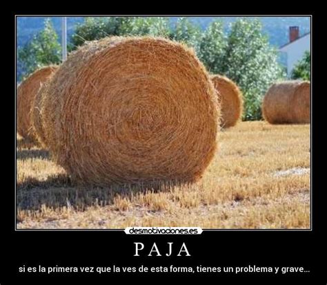 Imágenes y Carteles de PAJA Pag 77 Desmotivaciones