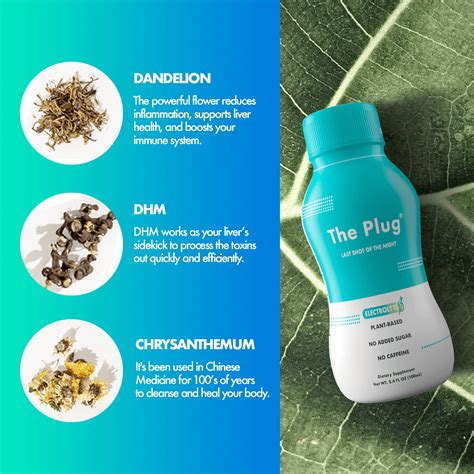 The Plug® Recovery Drink Plant Based Drink The Plug Drink