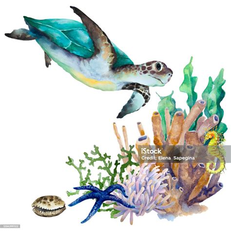 바다 녹색 거북 바다 말 불가사리 말미잘과 산호초는 흰색 배경에 손으로 그린 수채화 바다거북에 대한 스톡 벡터 아트 및 기타 이미지 Istock