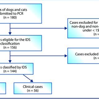 Flow Chart Of The Cases Analysed Download Scientific Diagram