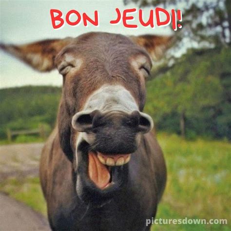 Bon jeudi humour image âne picturesdown