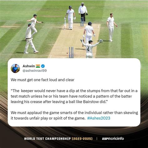 If Ash Anna Says Out Then It Is Out Rcricketshitpost