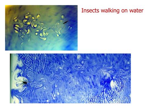 Ppt Flow Visualization And Measurement Techniques In Fluid Flows Powerpoint Presentation Id