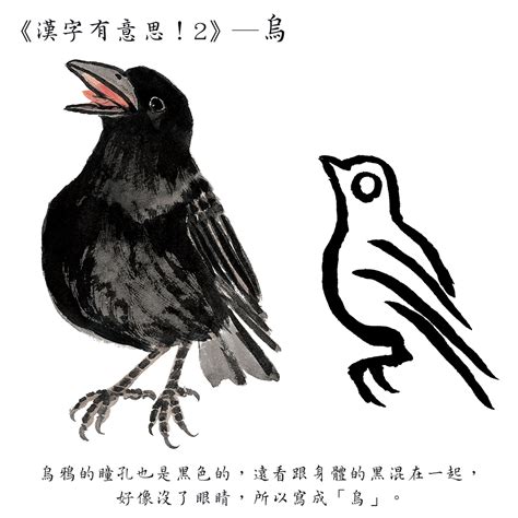 聯合文學 【看圖學漢字】 「鳥」這個字少了眼睛就是「烏」字。