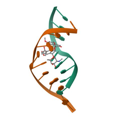 Rcsb Pdb 1kvh Ncsi Gb Bulge Dna Complex Induced Formation Of A Dna