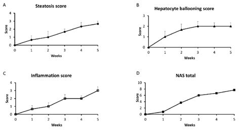 Nafld Activity Score Of The Liver Sections Ie Liver Steatosis Score