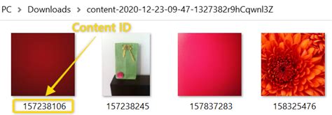 How Do I Export Media Files Submitted To My Experience Wyng