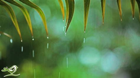 You And Me Relaxing Piano Music And Soft Rain Sounds For Sleep
