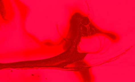 Abstract Sex Images Free Download On Freepik